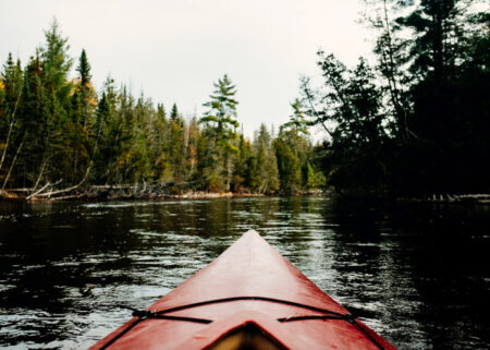 Current River Float Trips - The Ultimate Guide (2023)