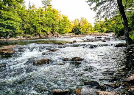 Top 14 Best Float Trips in Arkansas