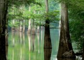 Top 14 Best Float Trips in Arkansas
