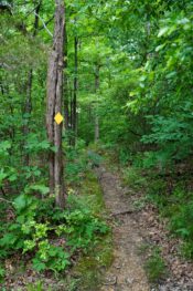 Bell Smith Springs Visitors Guide - Shawnee National Forest