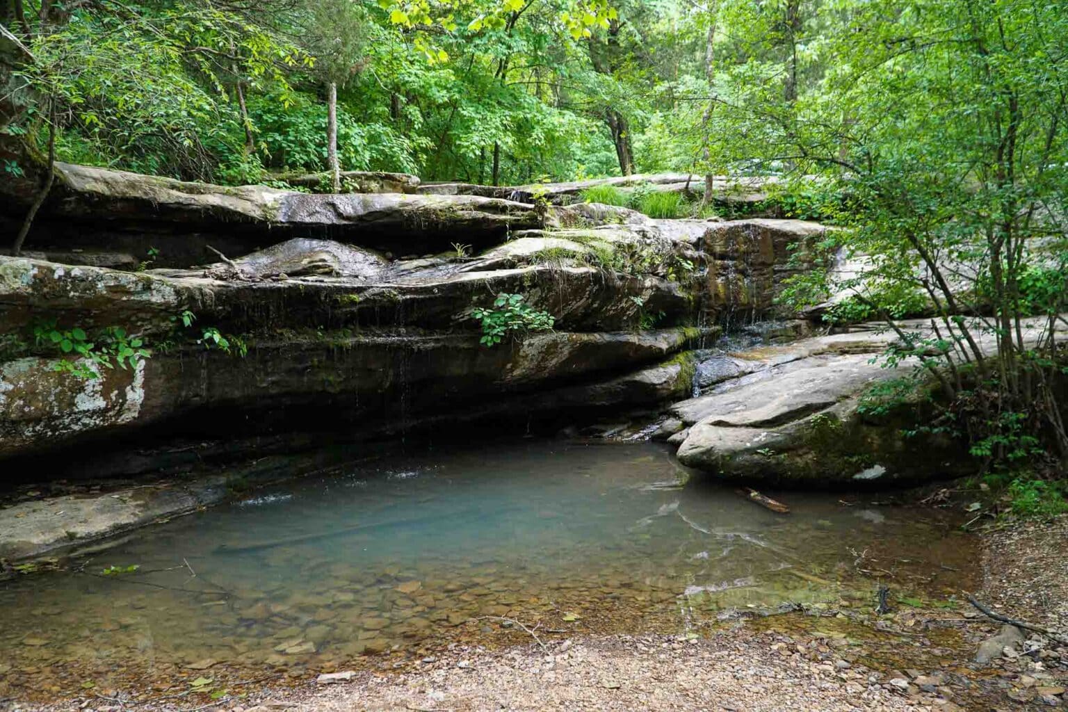Bell Smith Springs Visitors Guide - Shawnee National Forest