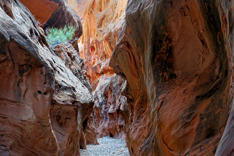 19 Incredible Slot Canyons in Utah & How to Visit Them