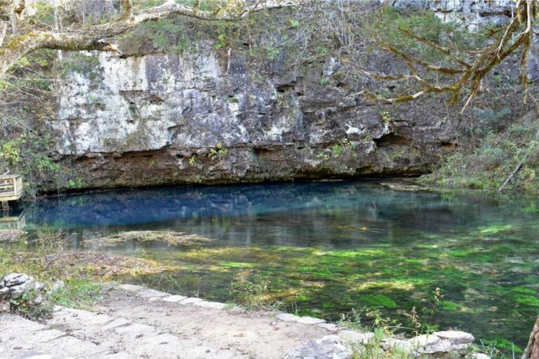 Current River Float Trips - The Ultimate Guide (2023)