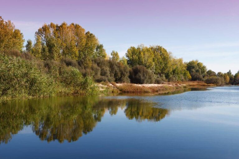 Current River Float Trips - The Ultimate Guide (2023)