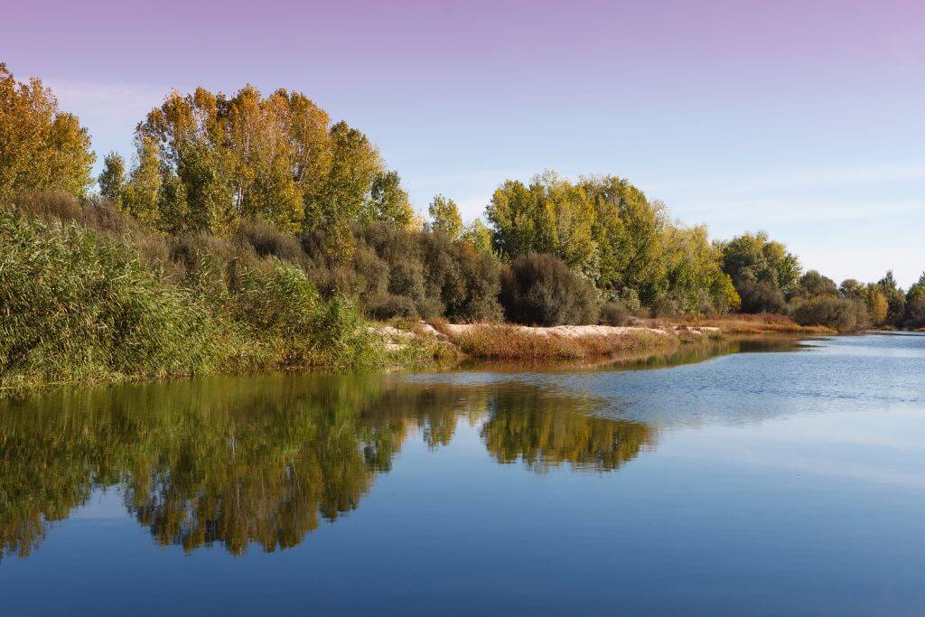 Current River Float Trips - The Ultimate Guide (2023)