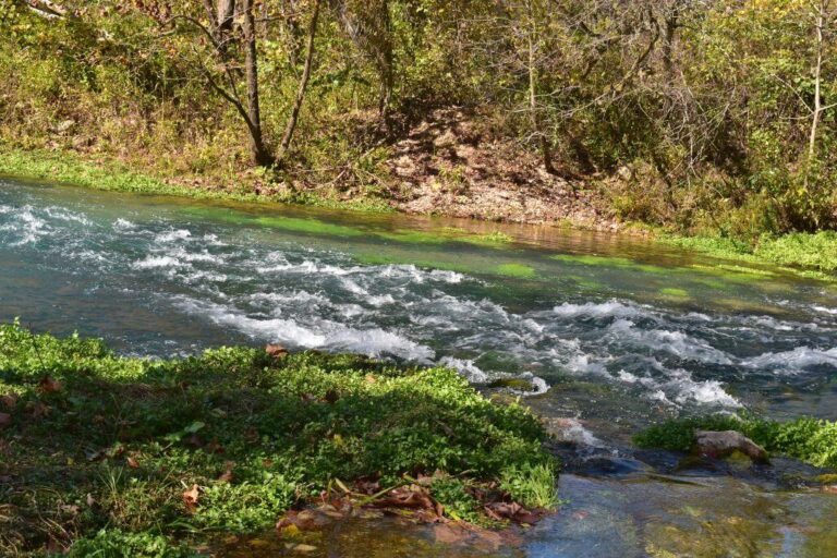 Current River Float Trips - The Ultimate Guide (2023)