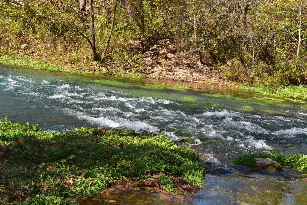 Current River Float Trips - The Ultimate Guide (2023)