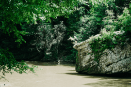 The Ultimate Guide to Kayaking at Red River Gorge