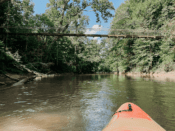 The Ultimate Guide to Kayaking at Red River Gorge