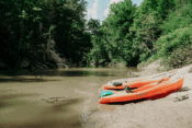 21 Best Things to Do in Red River Gorge, Kentucky