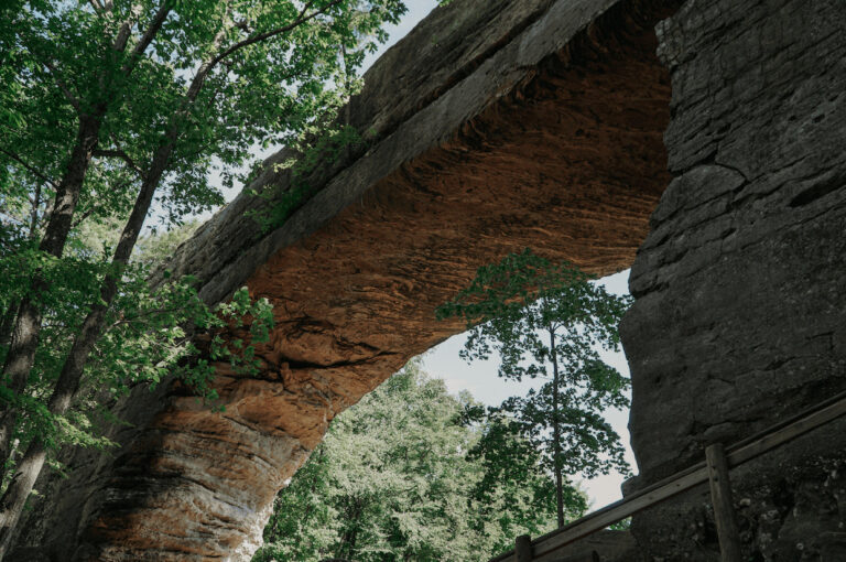 21 Best Things to Do in Red River Gorge, Kentucky
