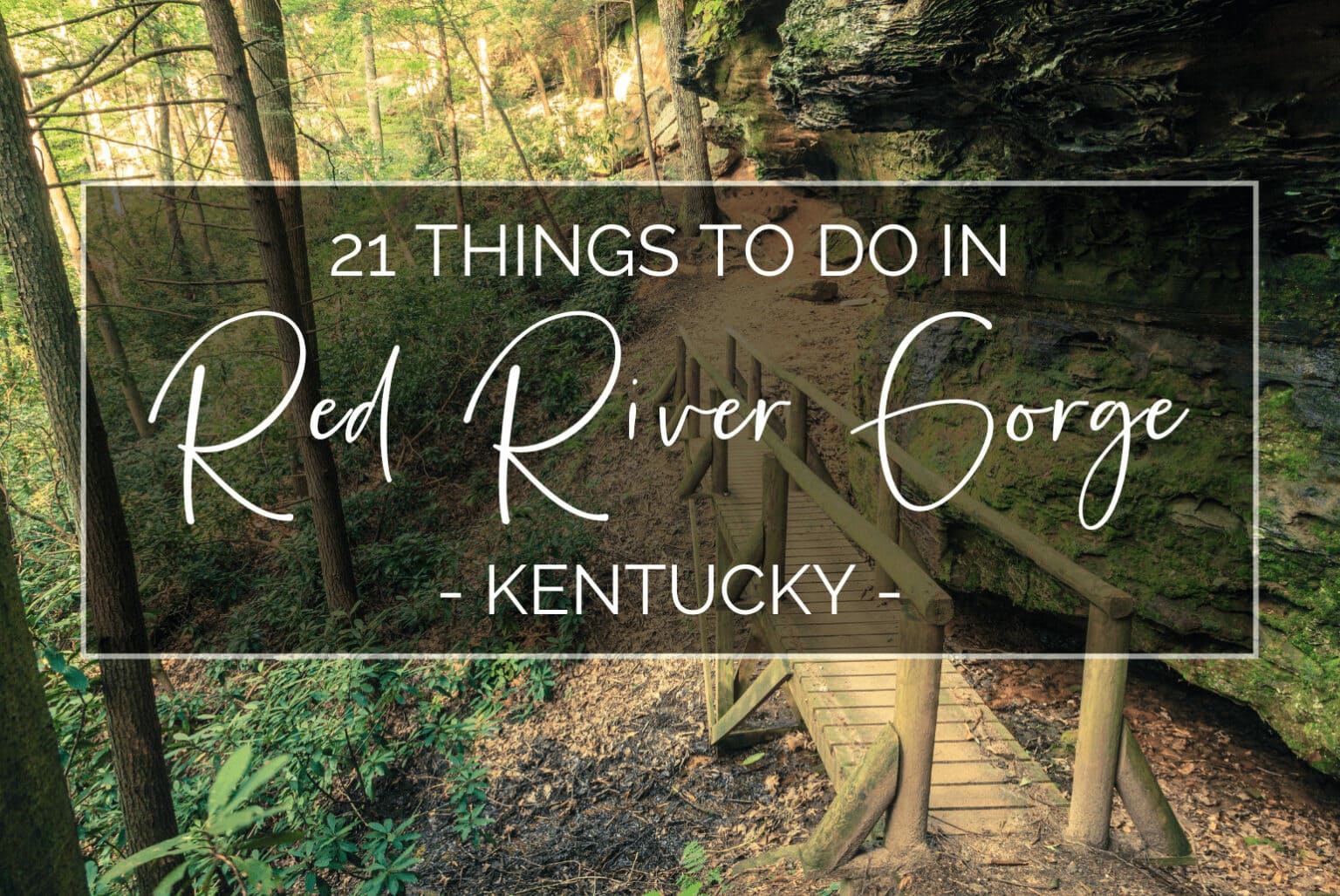 21 Best Things to Do in Red River Gorge, Kentucky