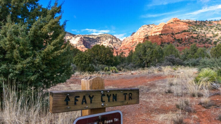 9 Amazing Sedona Waterfalls and How to Visit Them in 2024