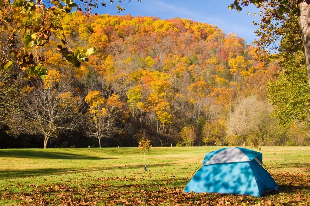 Noel MO Float Trips: Elk River Ultimate Guide 2024