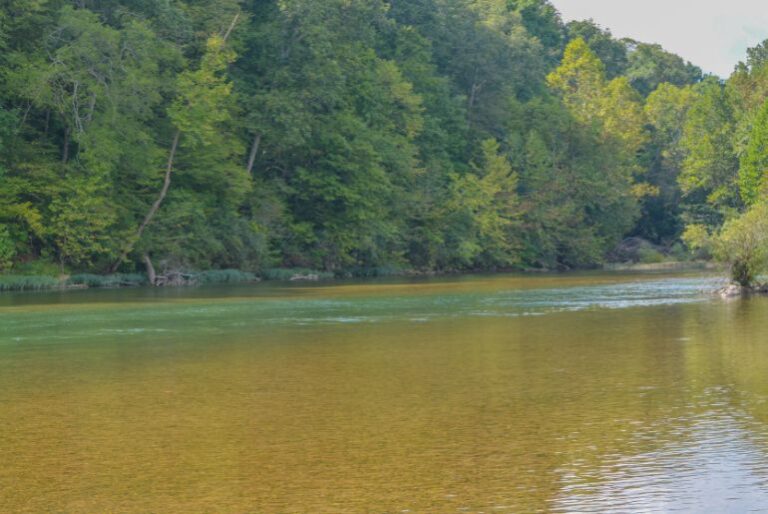 Top 14 Best Float Trips in Arkansas