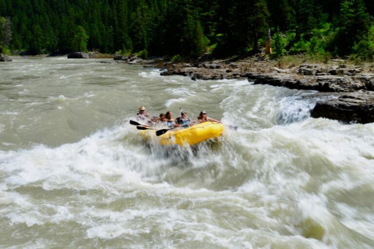 10 Best Snake River Float Trips in Jackson Hole