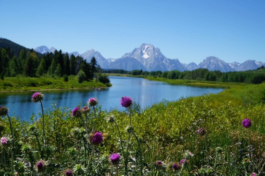10 Best Snake River Float Trips in Jackson Hole