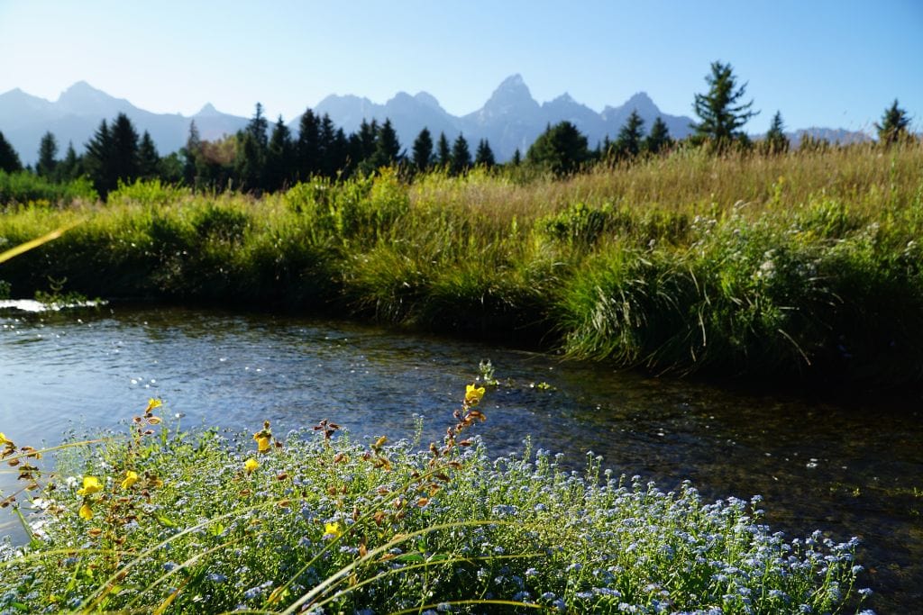 10 Best Snake River Float Trips in Jackson Hole