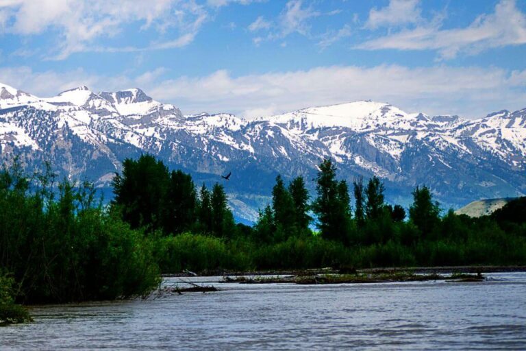 10 Best Snake River Float Trips in Jackson Hole