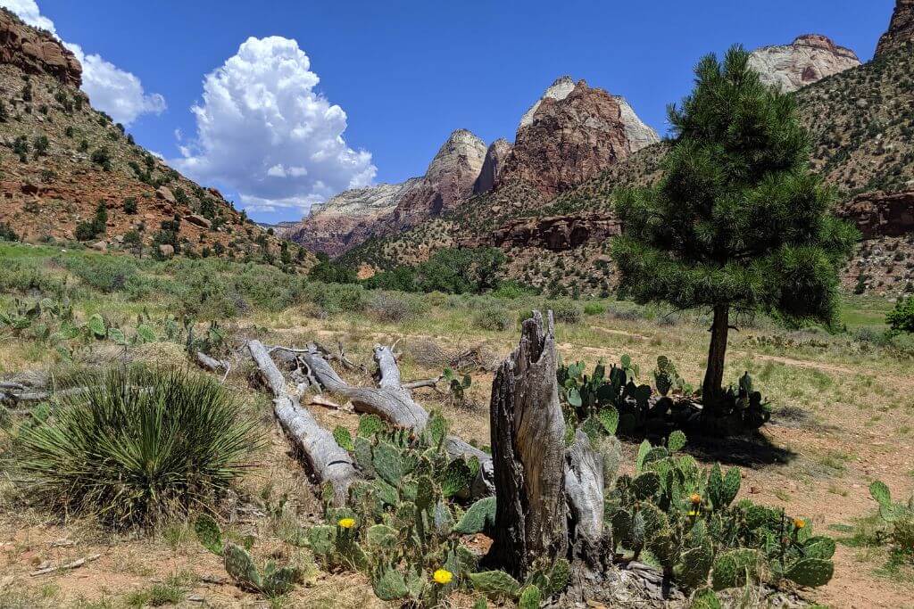 24 Best Things to Do NEAR Zion National Park