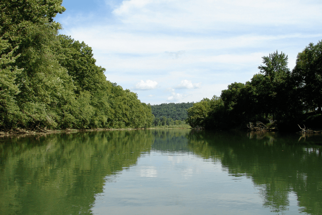 7 Best Rivers in Oklahoma to Float in 2024