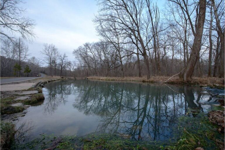 Best Camping in Missouri: 40 Best Spots to Camp in 2024