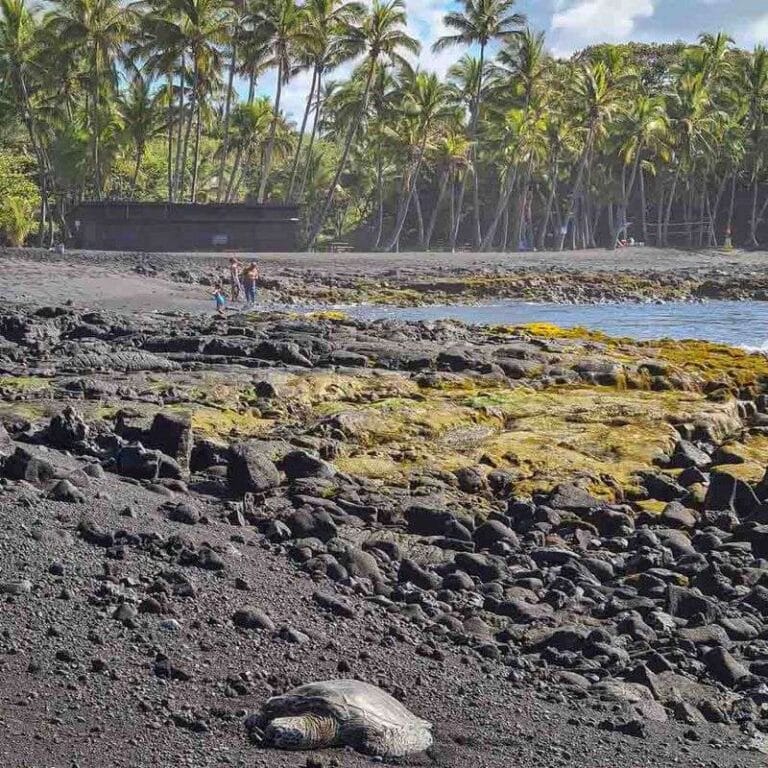 Hawaii, Punaluʻu is between Hilo and Kona: The town with a black sand beach