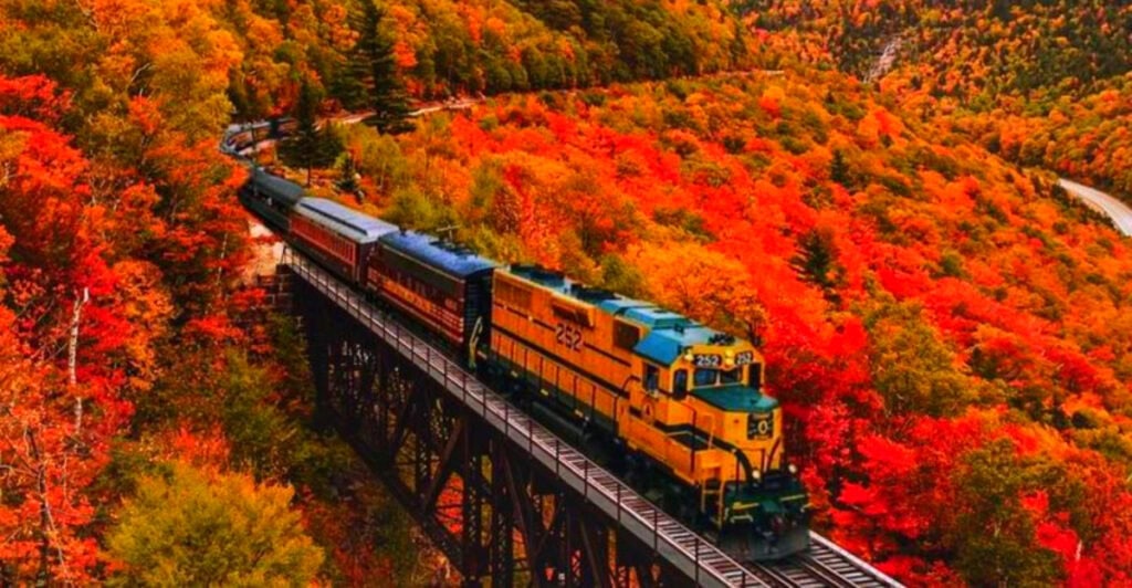 7 Scenic U.S. Train Rides That Show Off the Best Fall Colors This Year