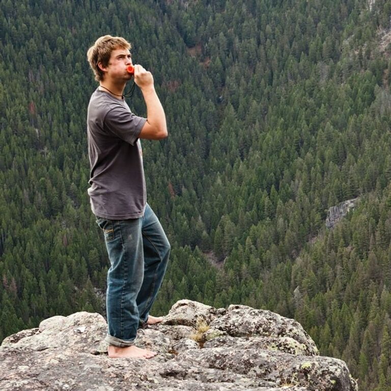 11 Best Whistles and Signaling Devices for Emergencies