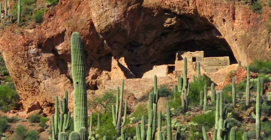 Arizona’s National Forest With Hidden Wonders Few Tourists See