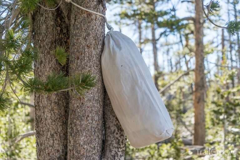 14 Bear-Proof Food Containers That Keep You (and the Bears) Safe on the ...