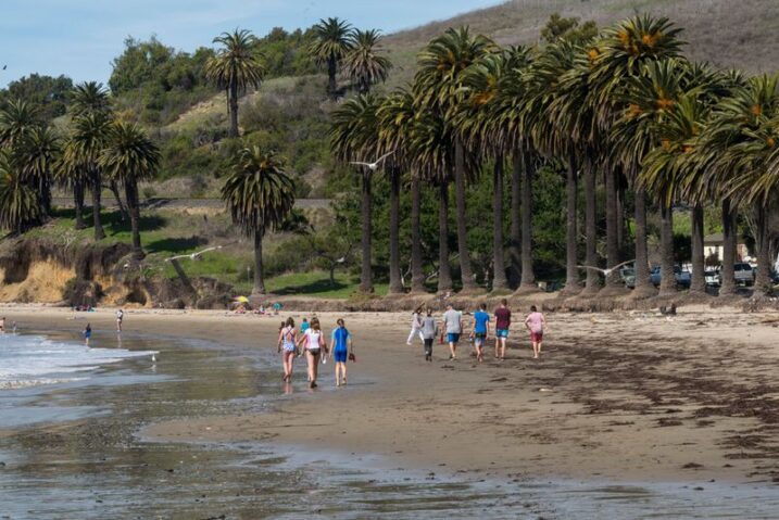 Refugio State Beach: California's Palm-Lined Escape That Feels Like Hawaii