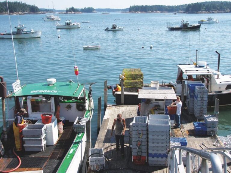 Seafood Trails: 11 Small Coastal Towns Serving Dock-to-Table Feasts