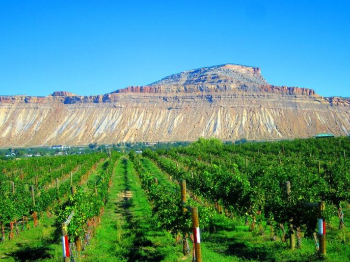 The Hidden Wine Country Town in Colorado’s Foothills Everyone Loves