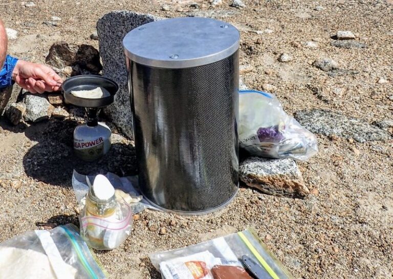 14 Bear-Proof Food Containers That Keep You (and the Bears) Safe on the ...