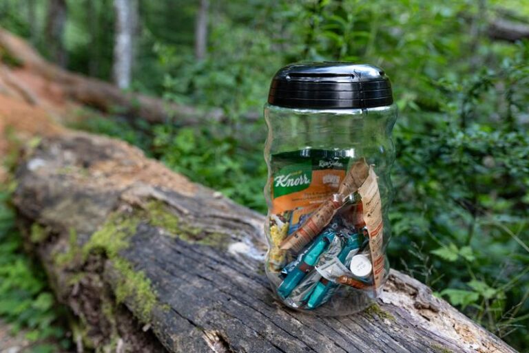 14 Bear-Proof Food Containers That Keep You (and the Bears) Safe on the ...
