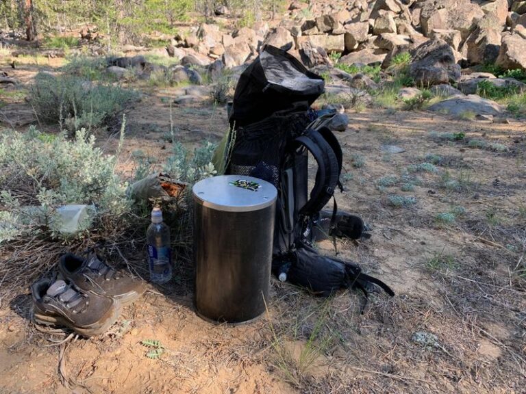 14 Bear-Proof Food Containers That Keep You (and the Bears) Safe on the ...