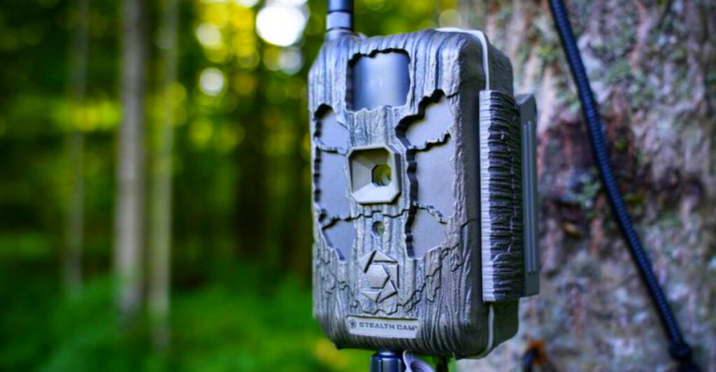 10 Best Trail Cameras to Help You Capture Wildlife Without Disturbing It