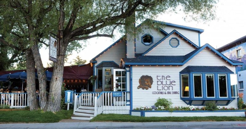 Bison, Elk & Big Peaks: Jackson Hole's 12 Must-Try Mountain Dining Spots