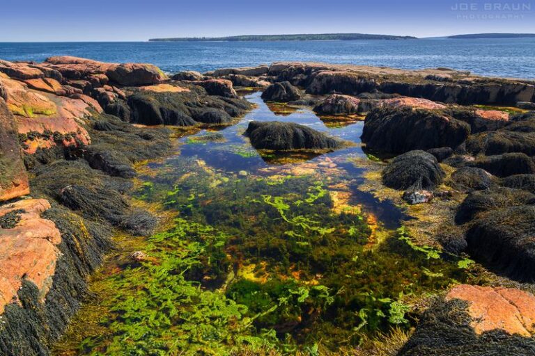 12 Incredible Tide Pools You Can Explore Without Hardcore Gear