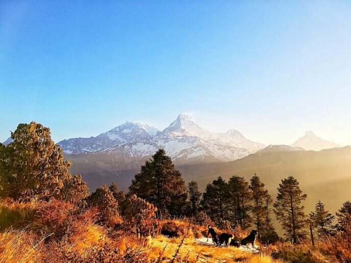 15 Countries Perfect for Hiking Enthusiasts