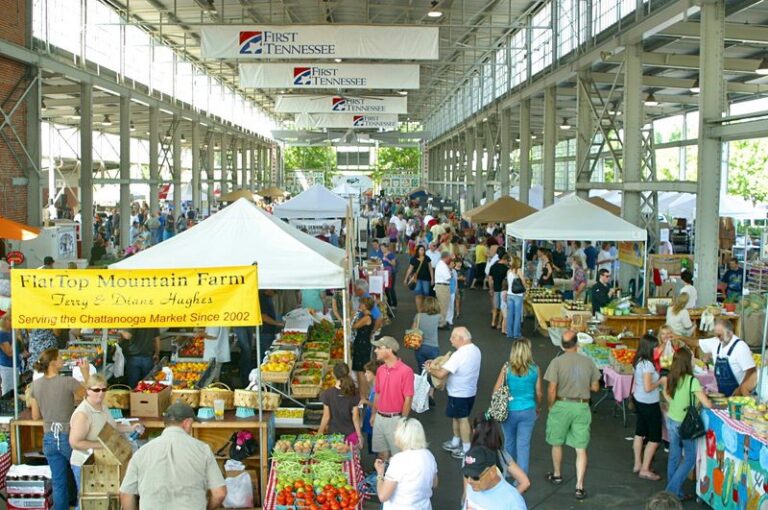 15 Tennessee Farmers Markets That Capture the Taste of Local Life