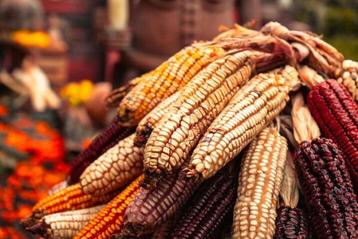 20 Ancient Foods Native Americans Lived On Before Europeans Arrived