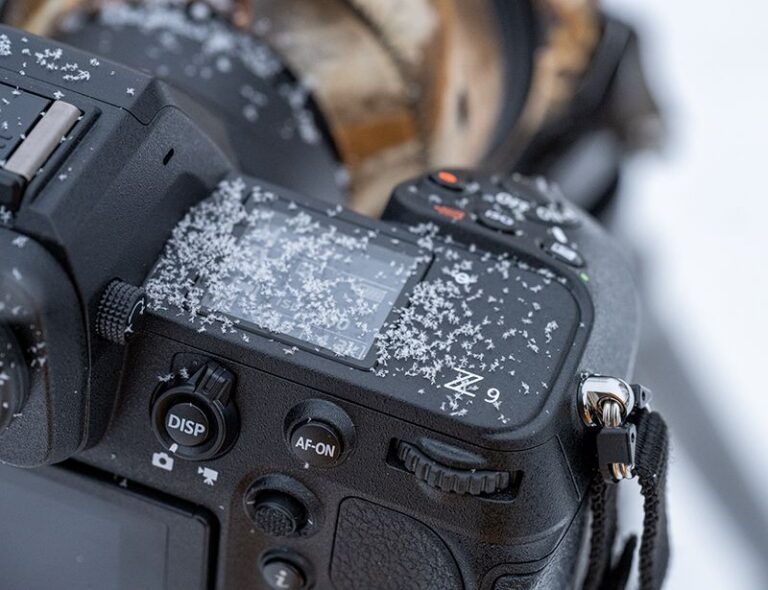 9 Cameras That Handle Snow and Ice Without Freezing Up