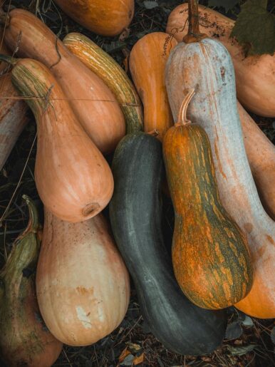 20 Ancient Foods Native Americans Lived On Before Europeans Arrived