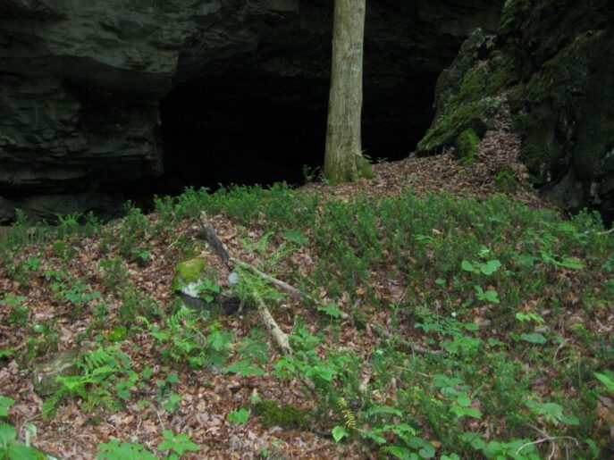 11 Kentucky's Secret Underground Caves That Locals Hope Adventure ...