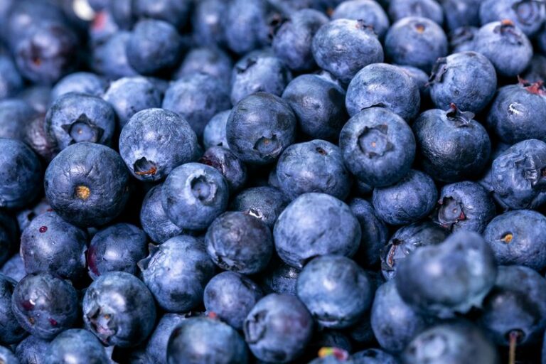 20 Ancient Foods Native Americans Lived On Before Europeans Arrived
