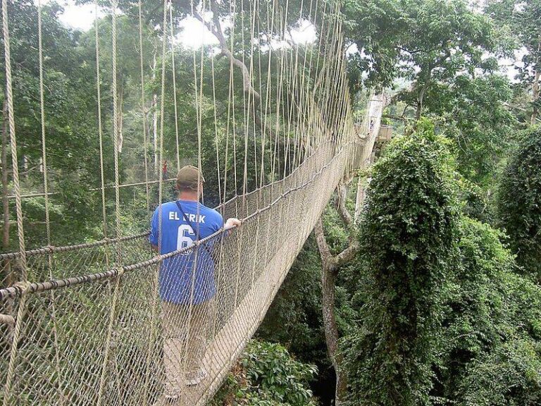 14 of the World’s Most Dangerous Bridges Only the Brave Dare to Cross