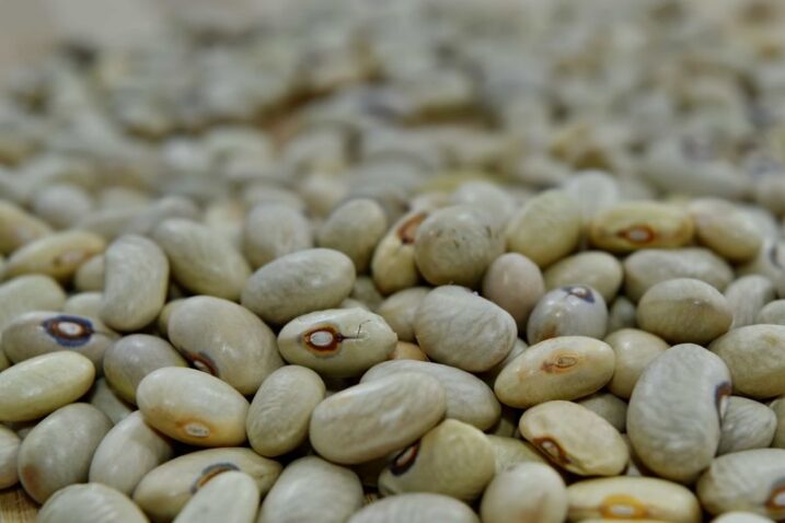 20 Ancient Foods Native Americans Lived On Before Europeans Arrived