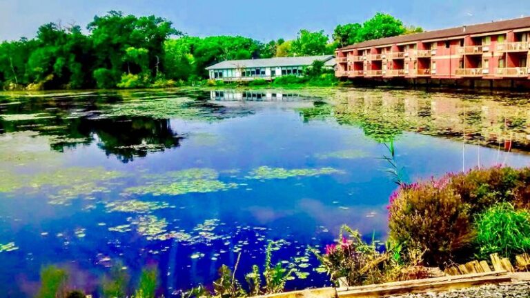 15 Small Towns Near Chicago That Feel Like a Vacation
